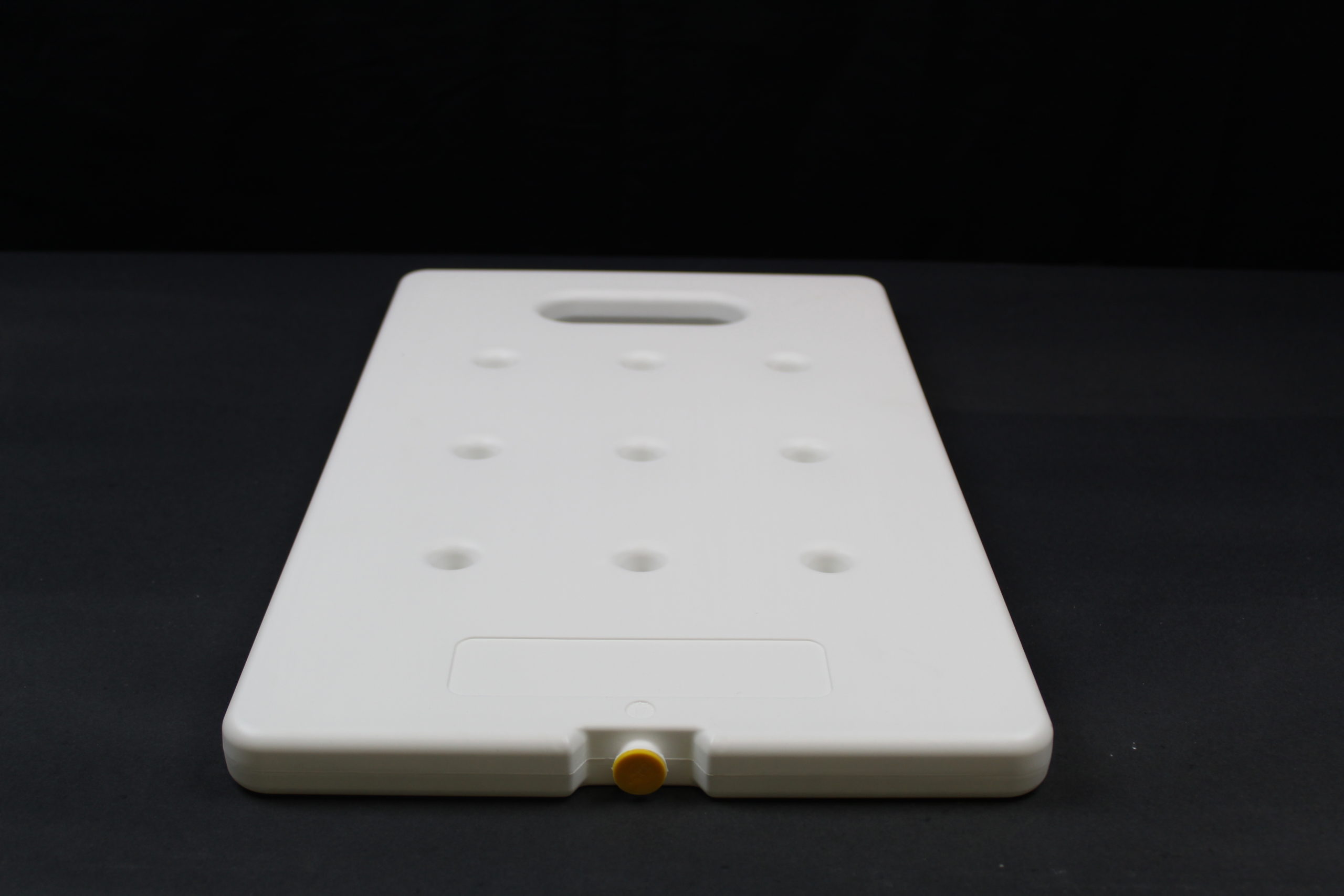 PLAQUE EUTECTIQUE -21°C - Socamel Technologies